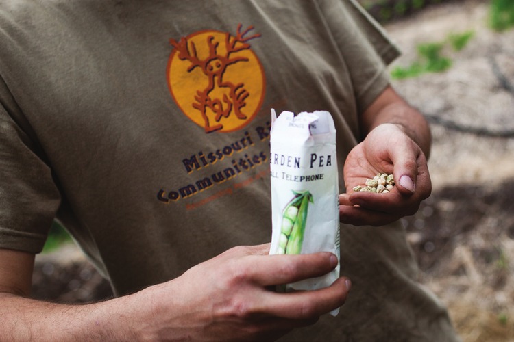Urban farm center strives to become self-sustaining - COMO Magazine