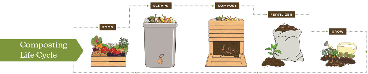 It's Easy Being Green (& Brown!) - COMO Magazine