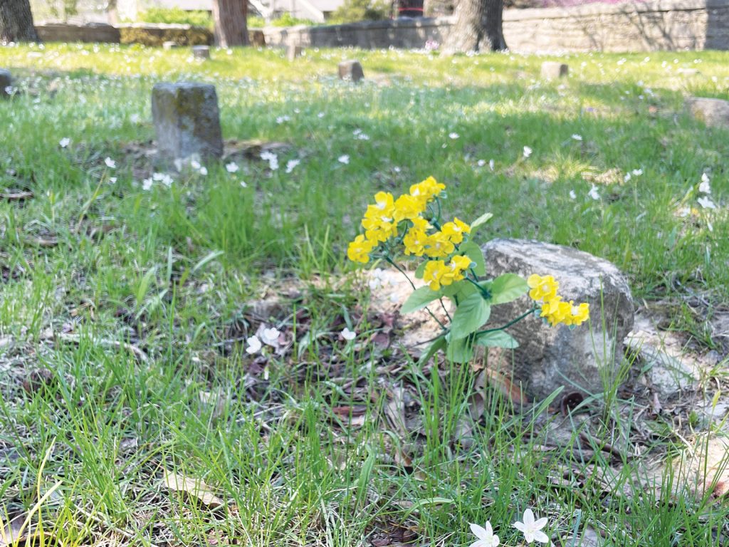 Portals to the Past - COMO Magazine