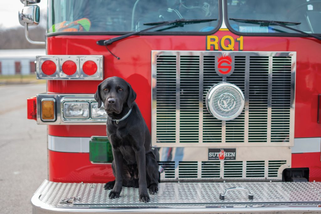 Firefighting Fido: Who's a good boy? - COMO Magazine