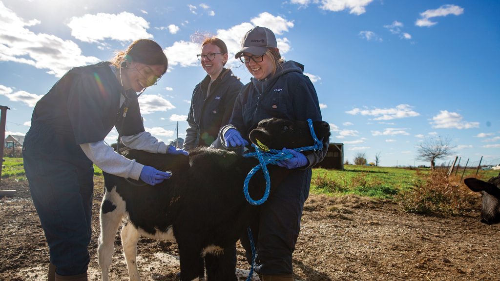 A Small Field for Large Animal Vets - COMO Magazine